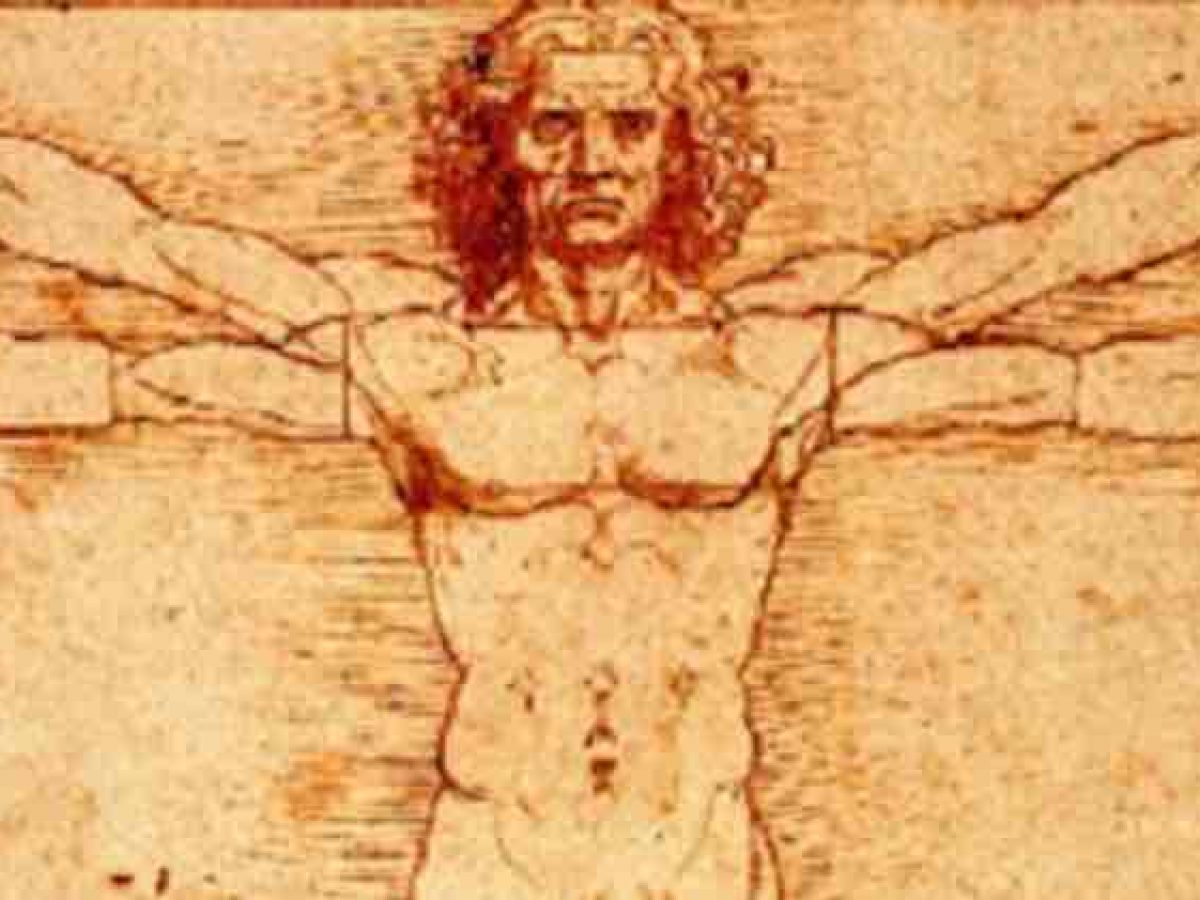 Proporciones De La Figura Humana