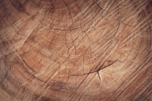 Tipos De Color Marrón Y Los Más Utilizados | ArteEscuela.com